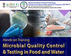 TRAINING / INTERNSHIP - NIFTEM-T